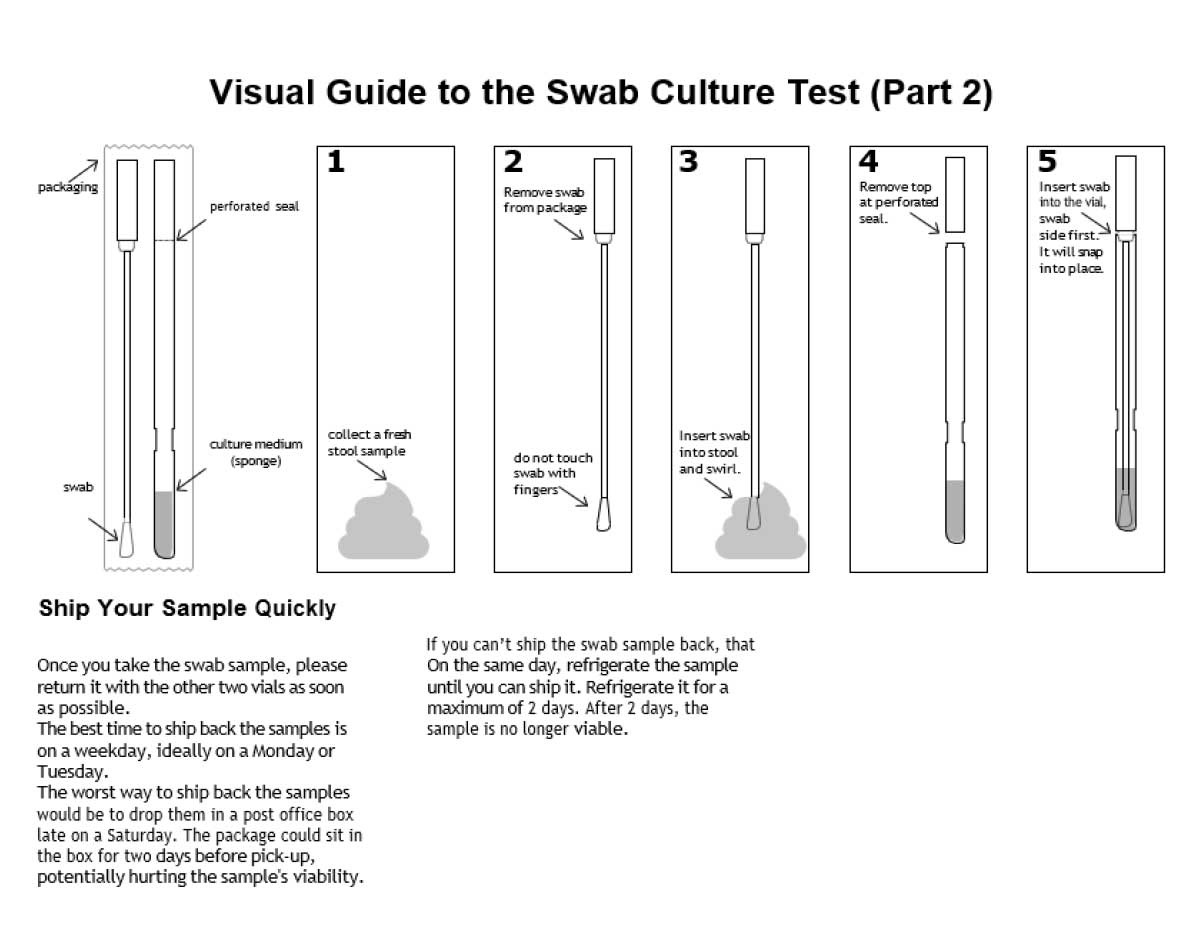 Full GI Panel (Comprehensive Stool Test + Swab Culture)(CPT 87177 ...